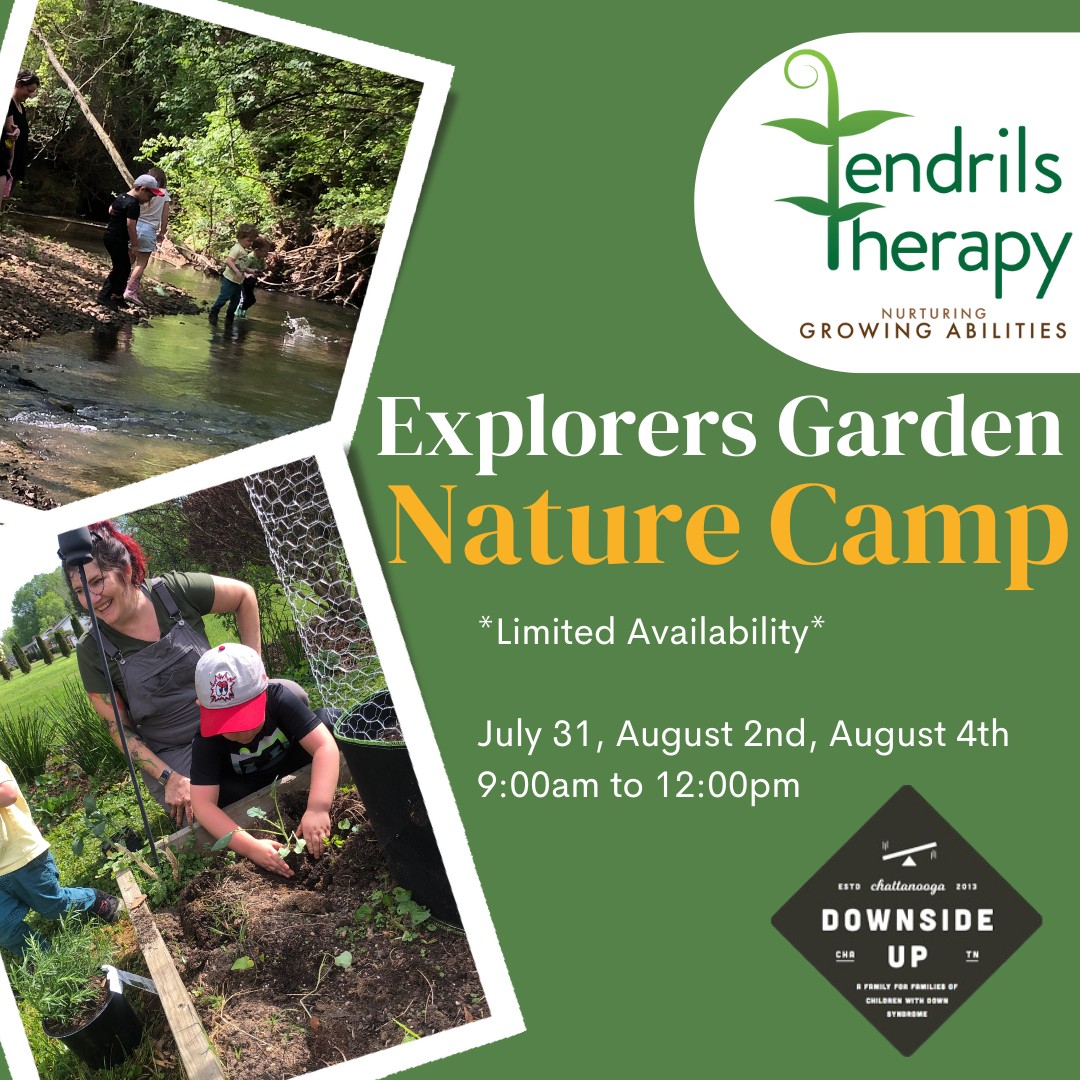 Day Camps — Downside Up Inc.