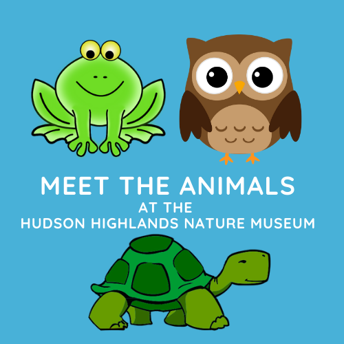 Pop-up Meet the Animals — Hudson Highlands Nature Center - The Hudson ...