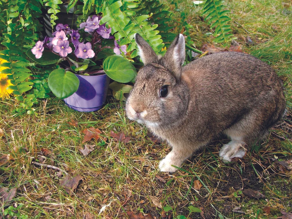 Nature Programs & Special Events — Hudson Highlands Nature Center - The ...