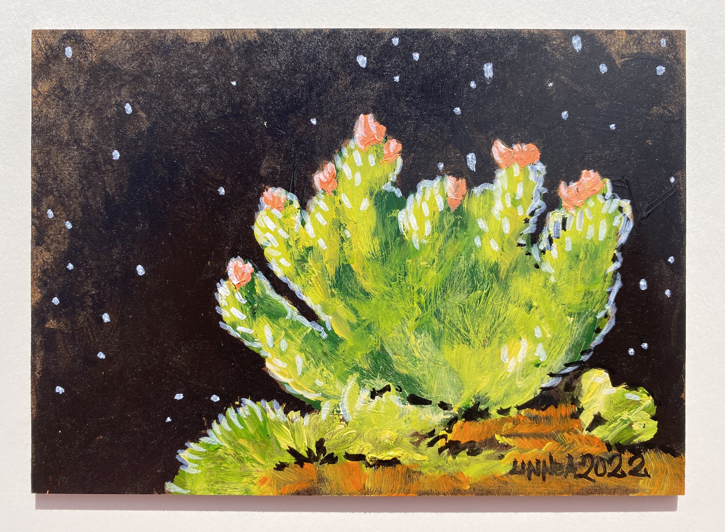 Prickly Love - Cactus 26 - Cholla Wishing On A Star — Inside The Robot