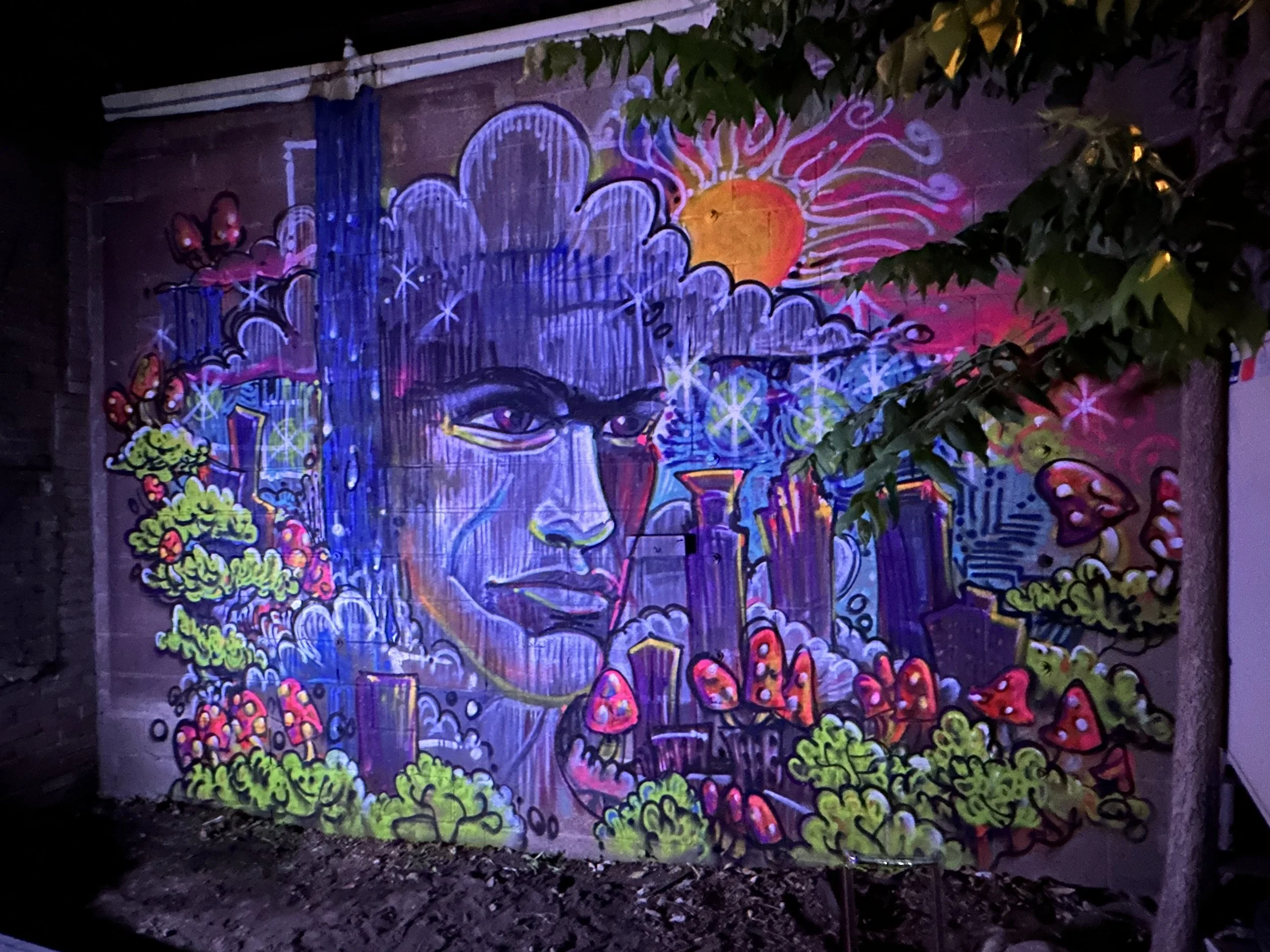 Mural Art — Inside The Robot