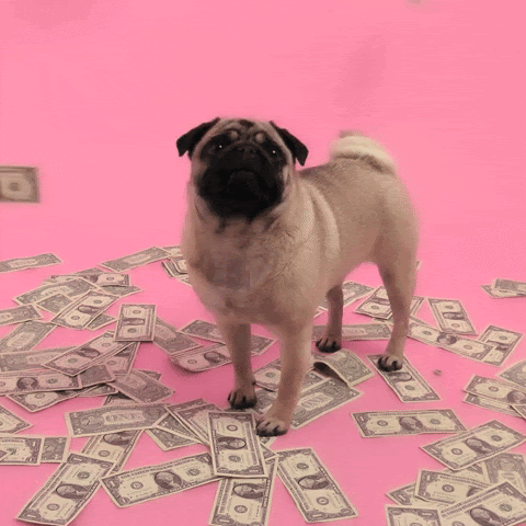 let's start money-festing… — Kelsey Abbott