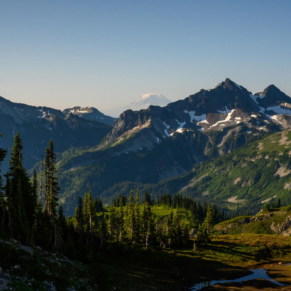 What to Do In Bellingham, WA | Hikes Near Bellingham — Heliotrope Hotel