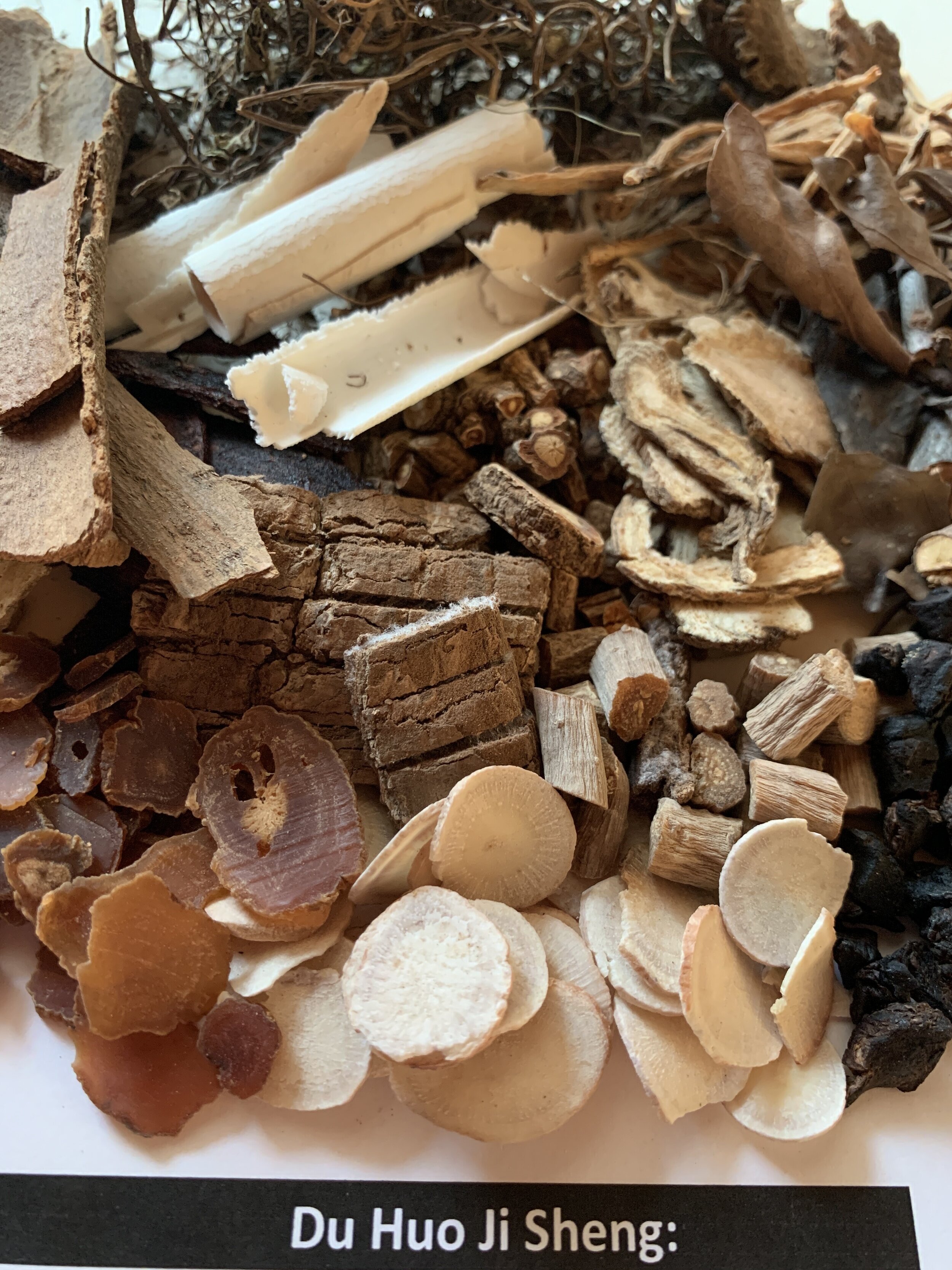 Du Huo Ji Sheng Tincture | Art of Acupuncture