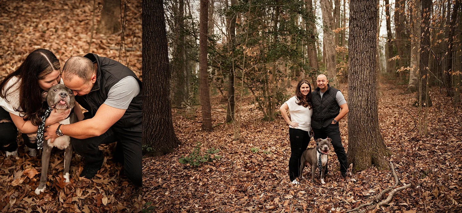 Blog — Laura Lou Photography