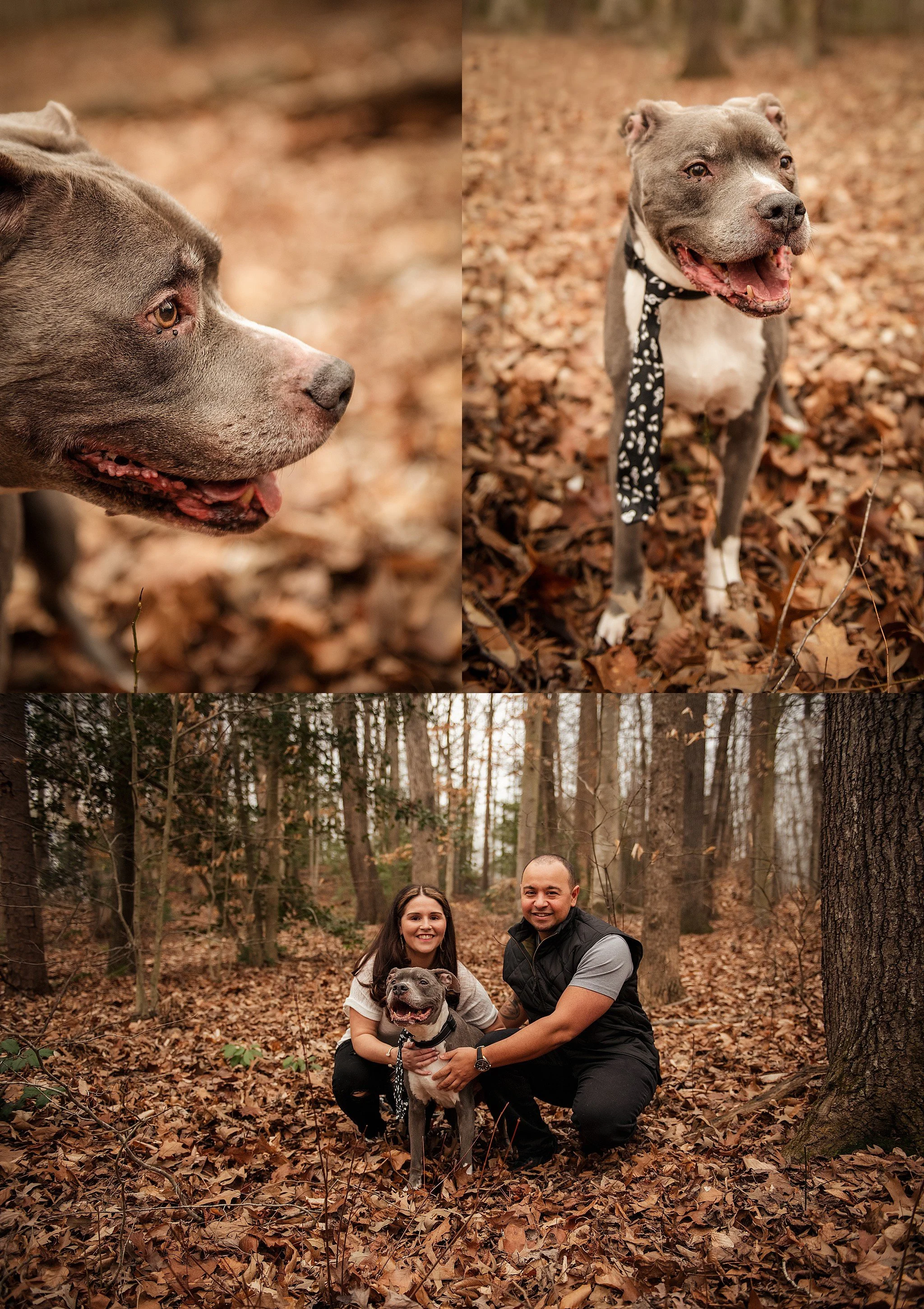 Blog — Laura Lou Photography