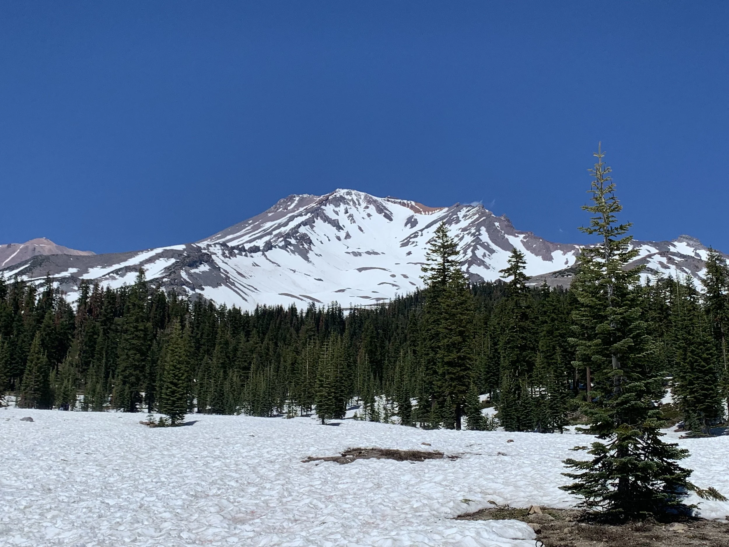 Upcoming Events — Redwood Coast Mountain Bike Association