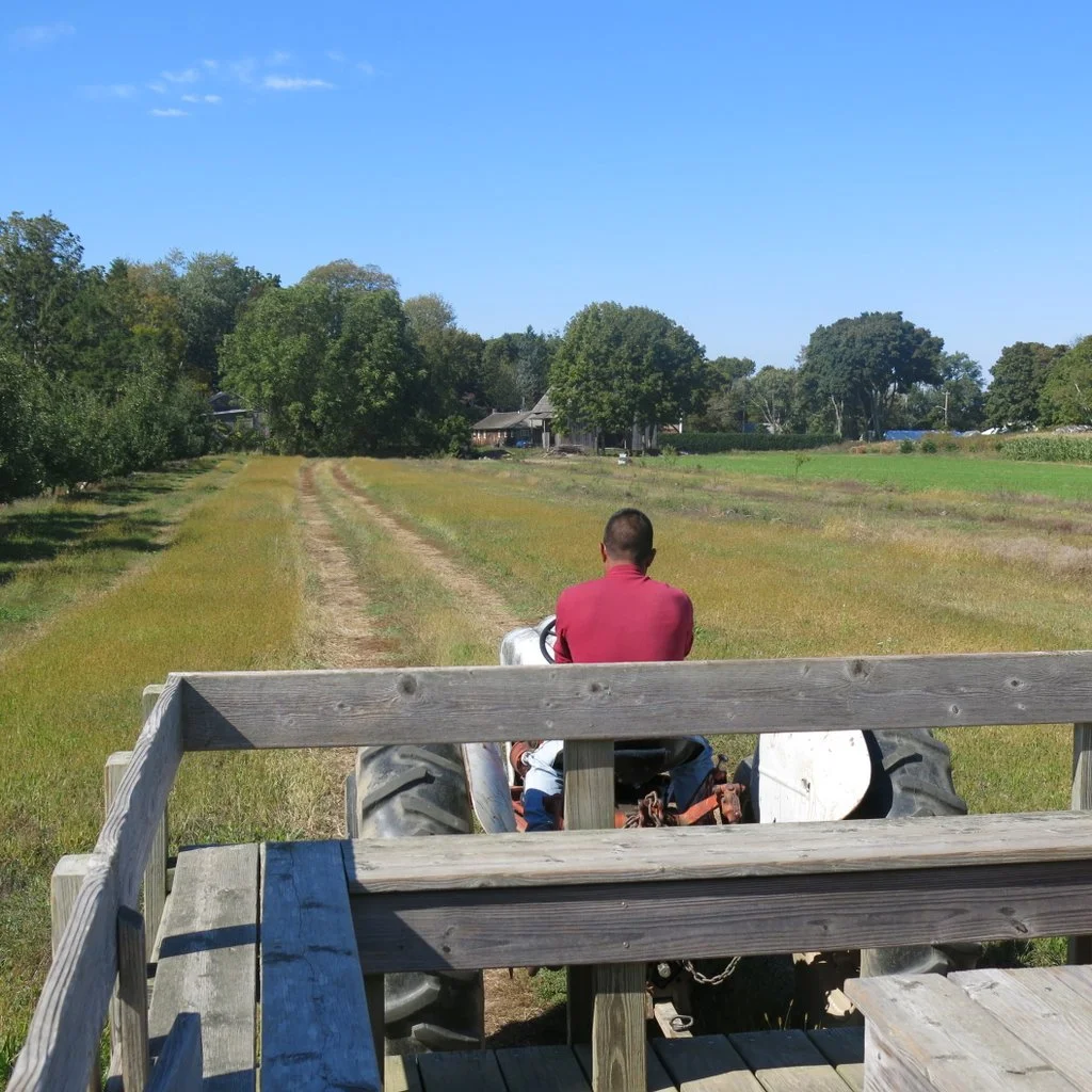 Farms Gallery — Talia's Bucket List