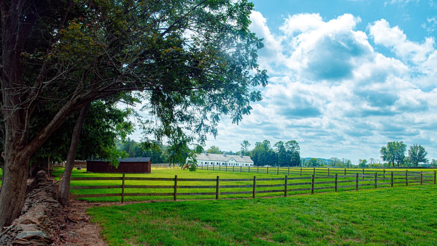 Harmony Nature Farm