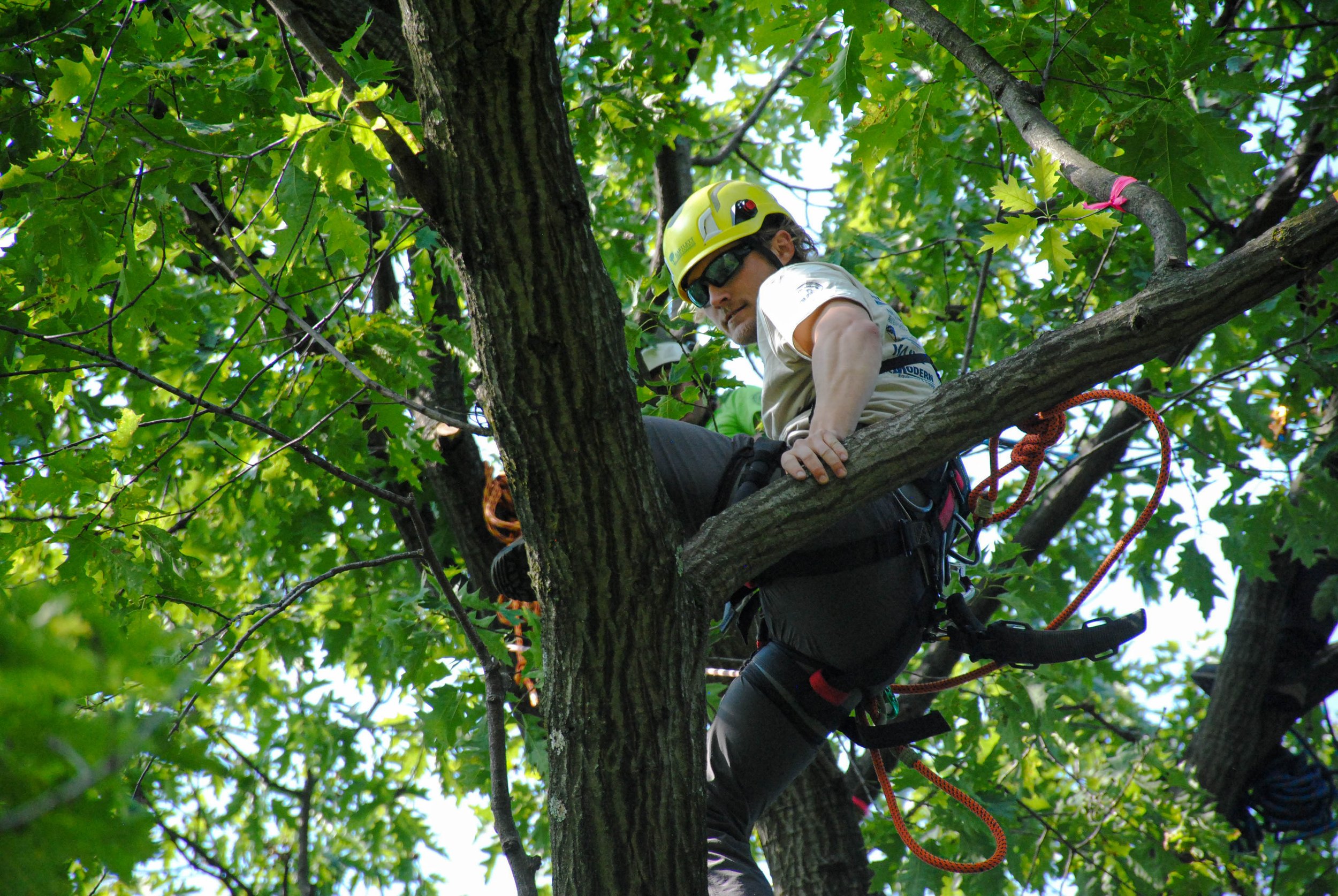 NJ Chapter — NJ Arborists ISA