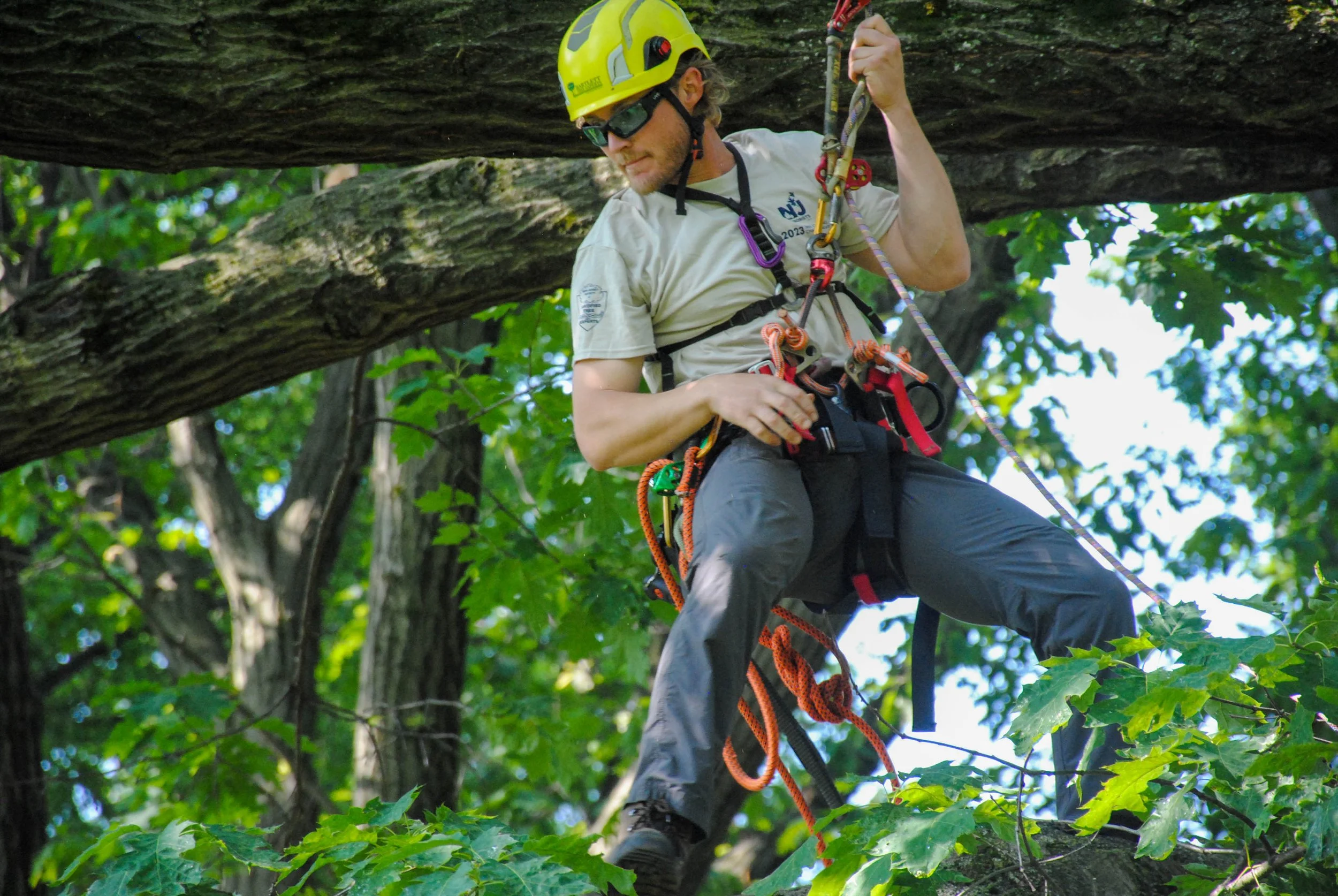 NJ Chapter — NJ Arborists ISA
