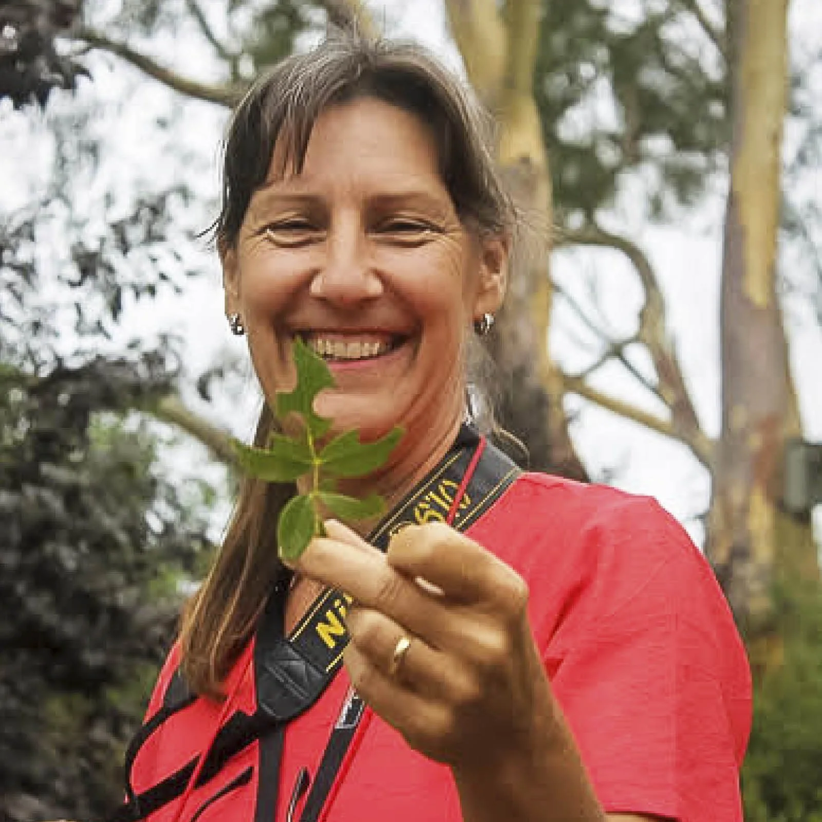 All The Dirt Podcast - Gardening, Sustainability and Food - Weekly Podcast