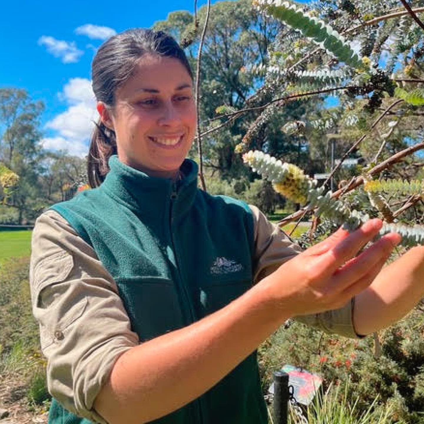 All The Dirt Podcast - Gardening, Sustainability and Food