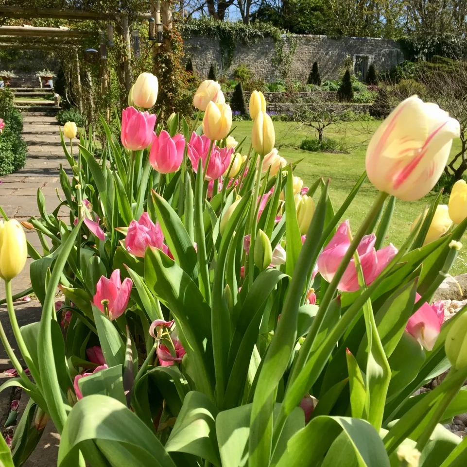 Slade Farm - Garden Visits