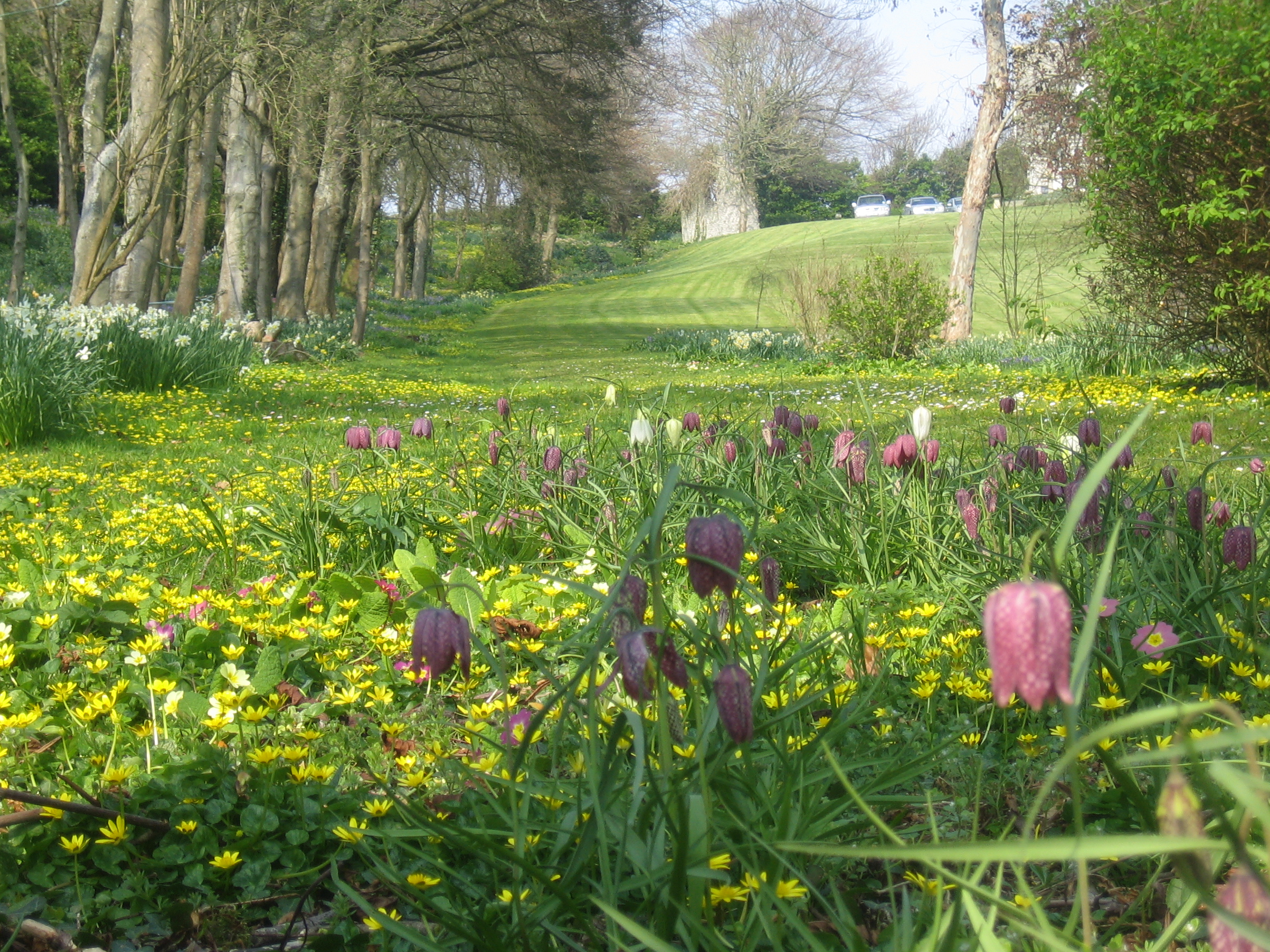 Slade Farm - Garden Visits