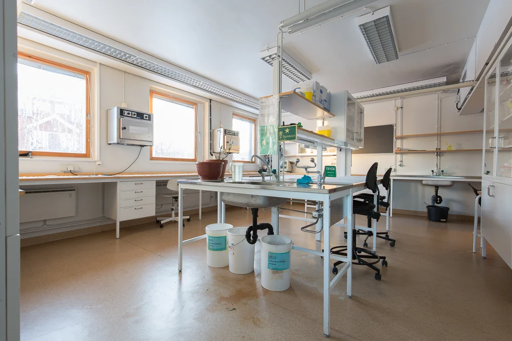 ANS Plant and Soil Lab — Climate Impacts Research Centre