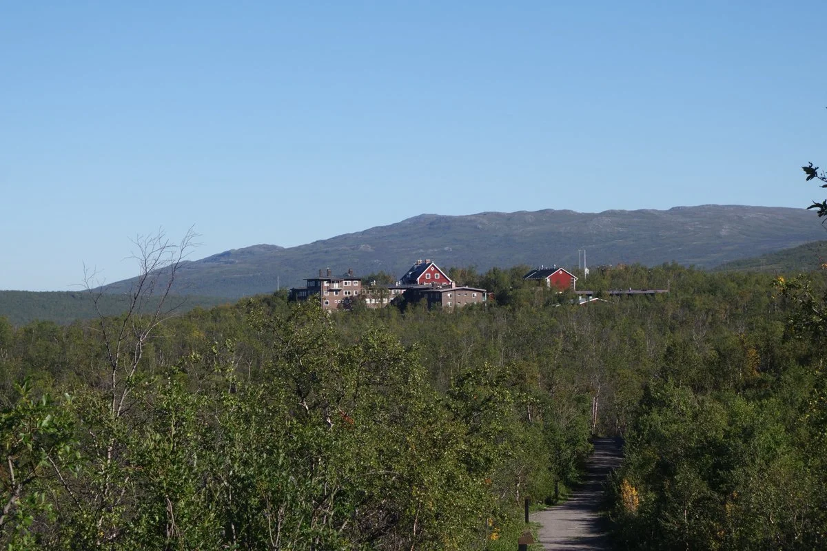David Seekell — Climate Impacts Research Centre