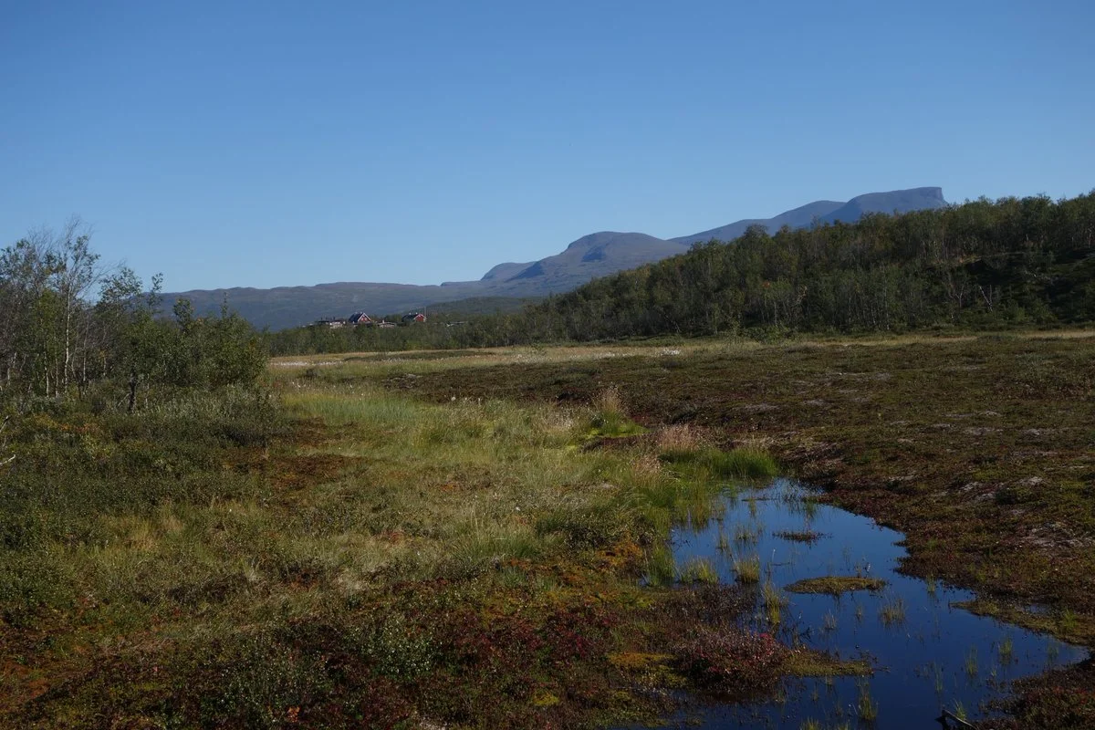 David Seekell — Climate Impacts Research Centre