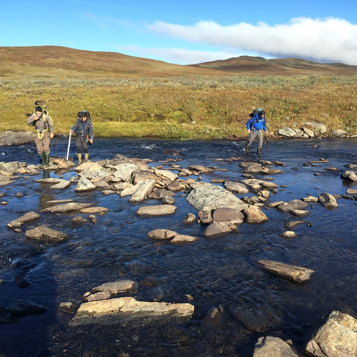 David Seekell — Climate Impacts Research Centre