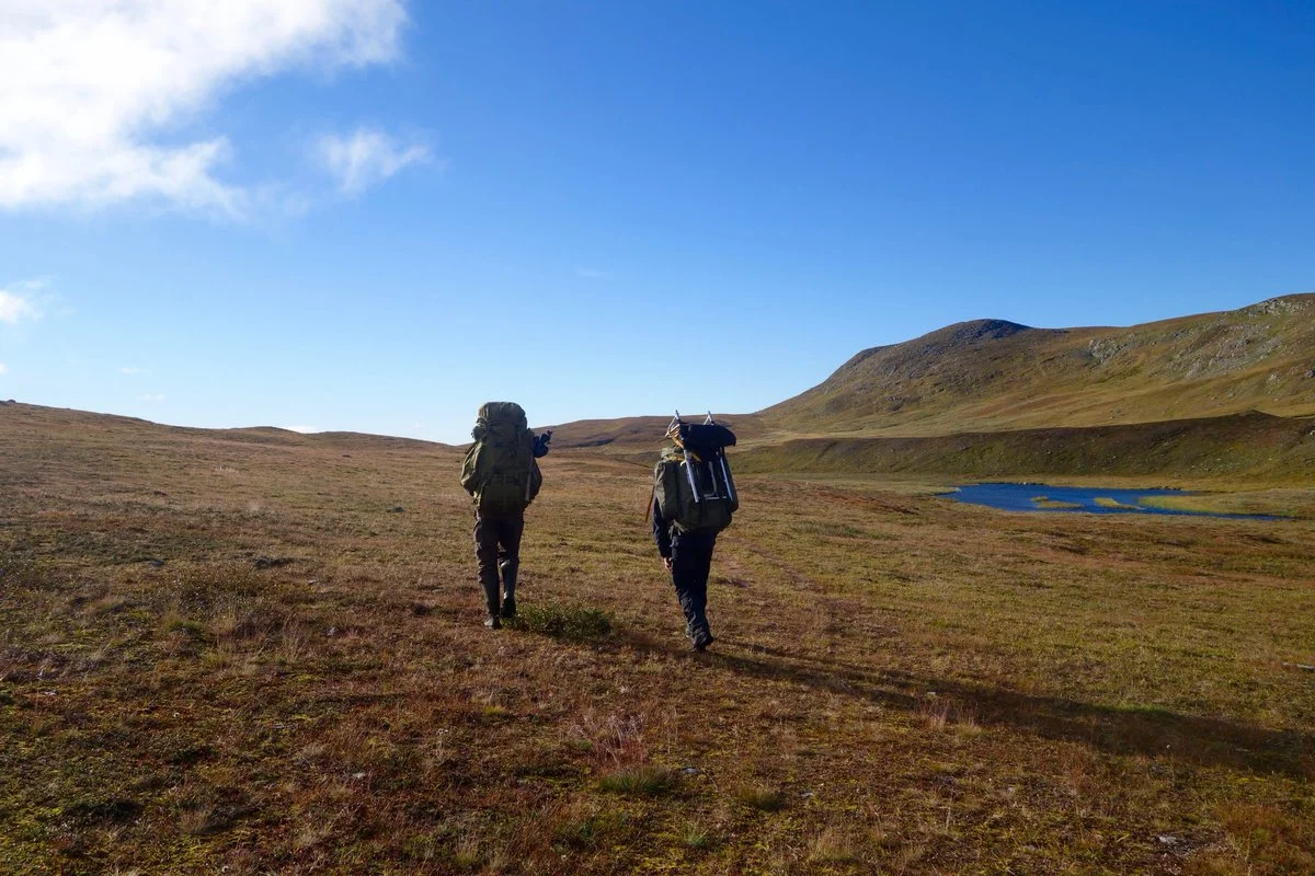 David Seekell — Climate Impacts Research Centre