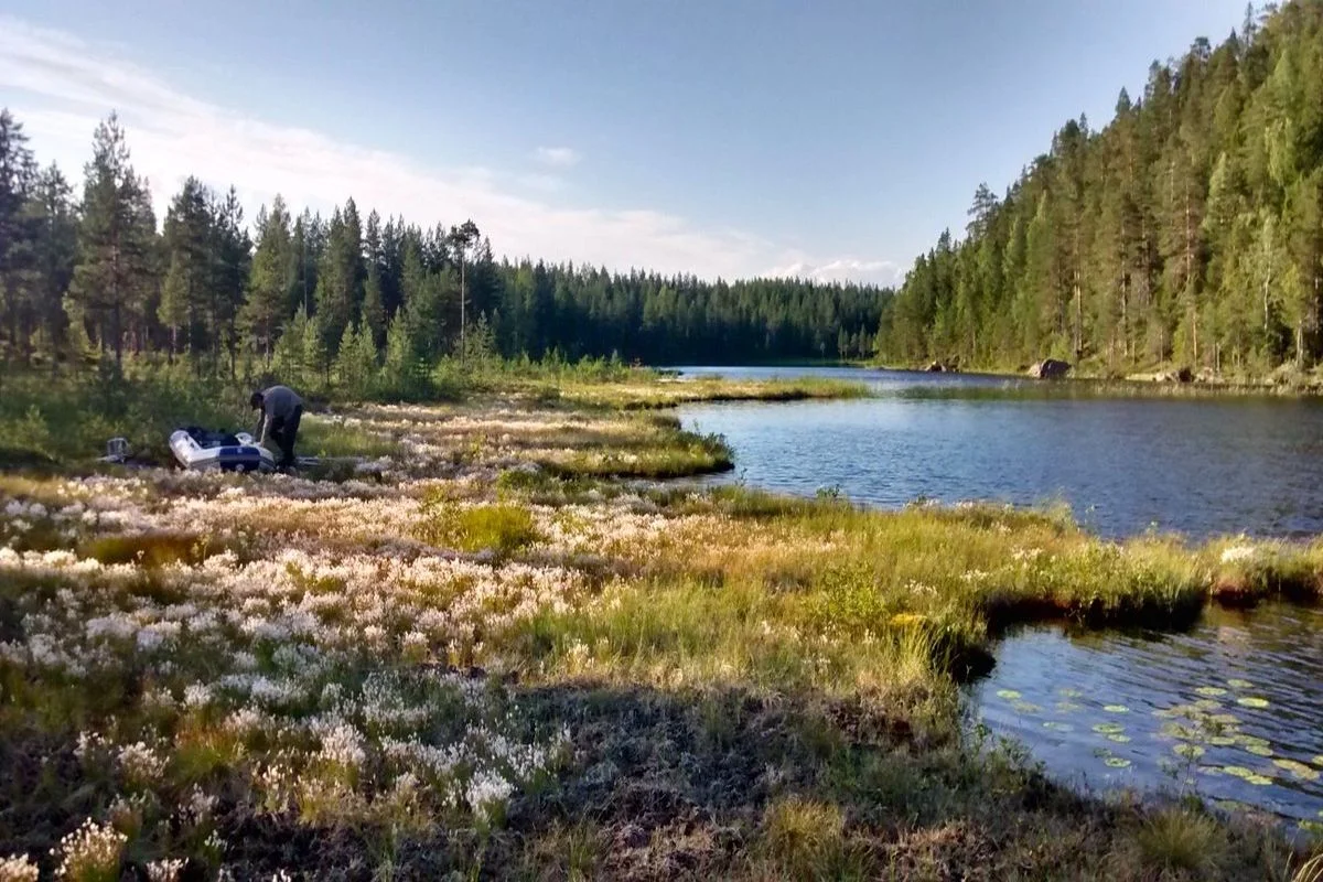 David Seekell — Climate Impacts Research Centre