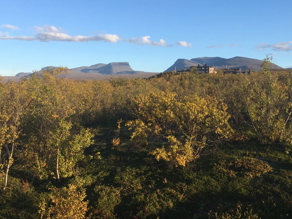 Keith Larson — Climate Impacts Research Centre