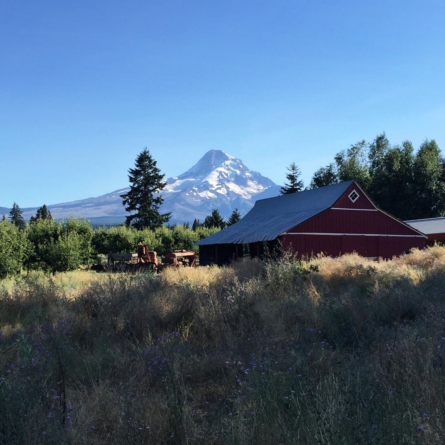 Best Oregon Breweries 2018 — Beervana