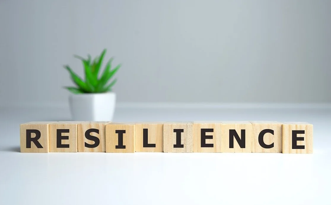 Building Resilience: How to Bounce Back After Failure — Progress ...
