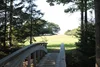GCGC Site