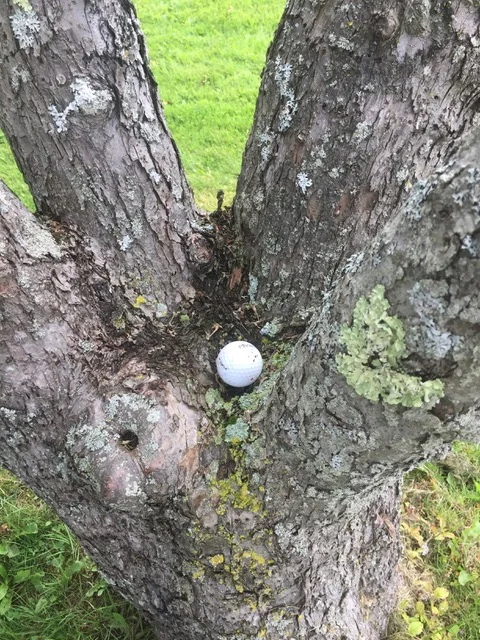 Events — GREAT CHEBEAGUE GOLF CLUB