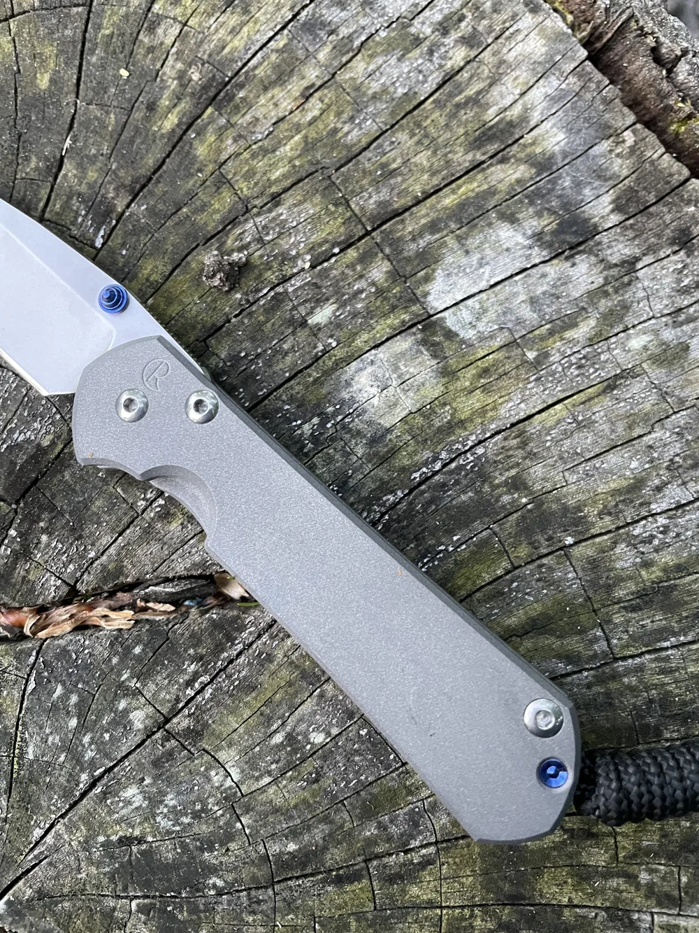 Chris Reeve Sebenza 31 Review — Everyday Commentary