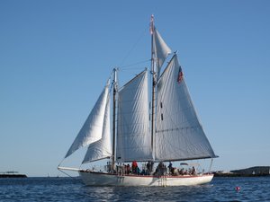Windjammers — Windjammer Days