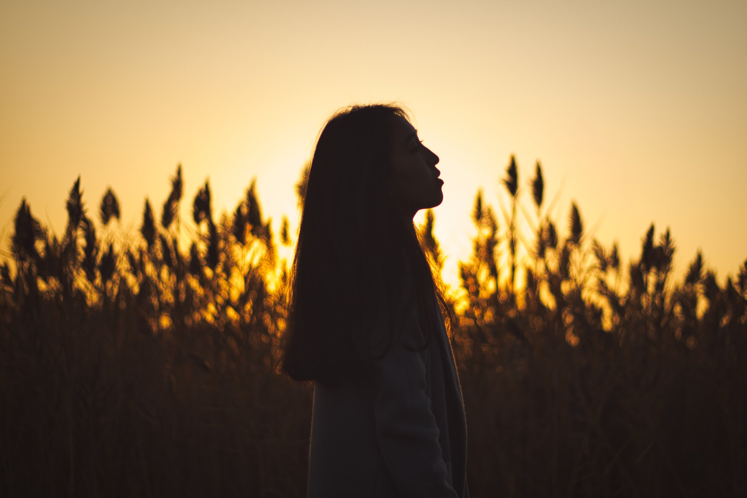 Message From Divine Mother — Teresa Pimenta
