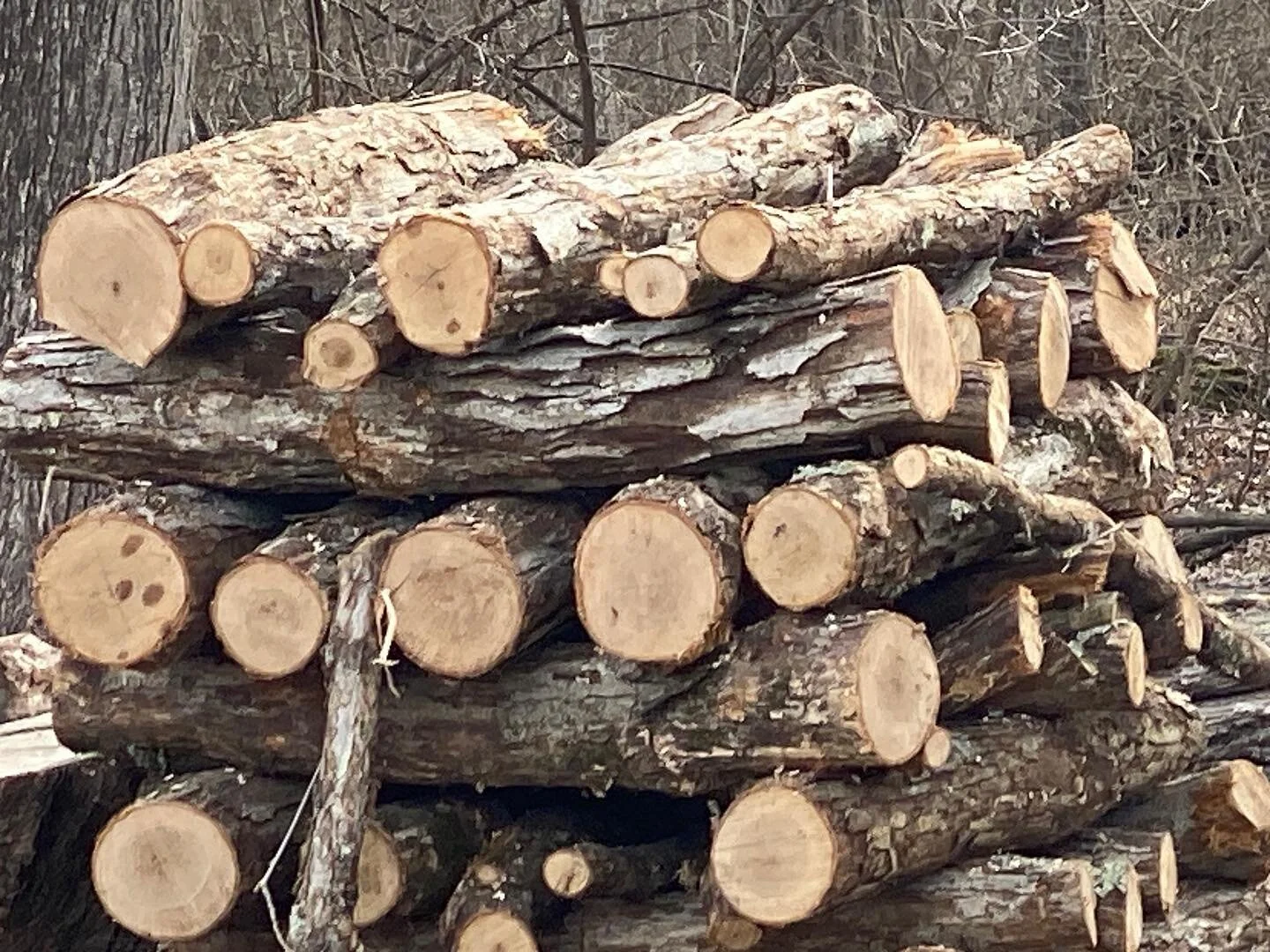 Biochar — Versailles Farms