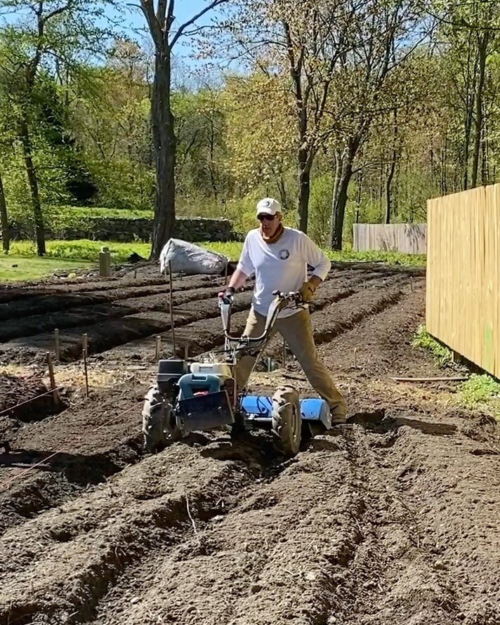 The Flavors of Summer — Versailles Farms