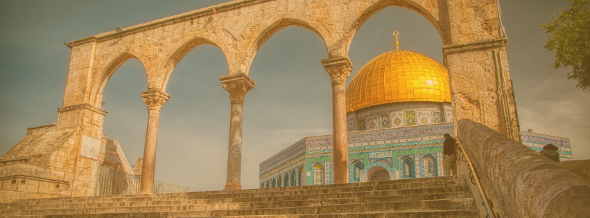 Peace Catalyst International