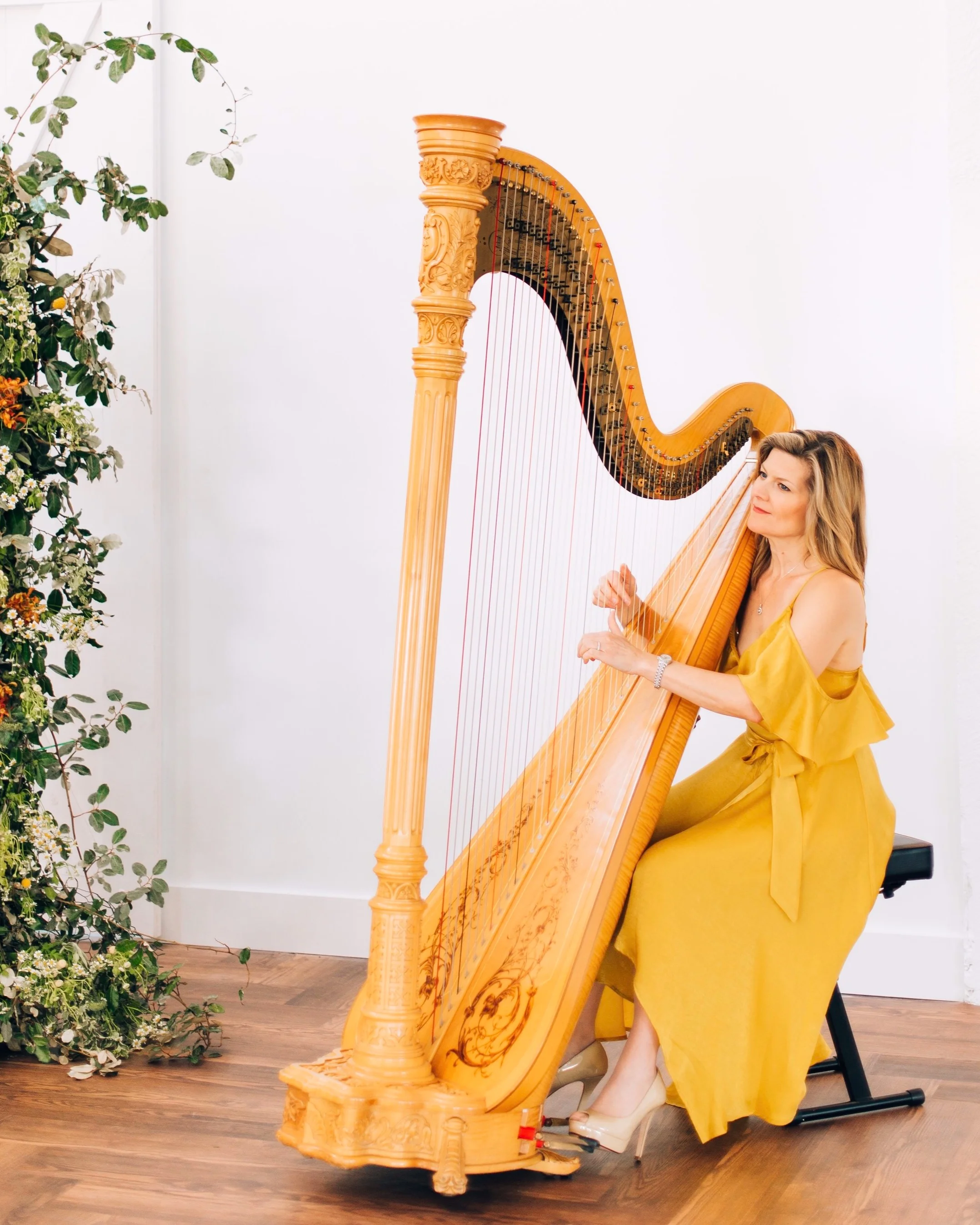 Kirsten Agresta Copely - New York Harpist