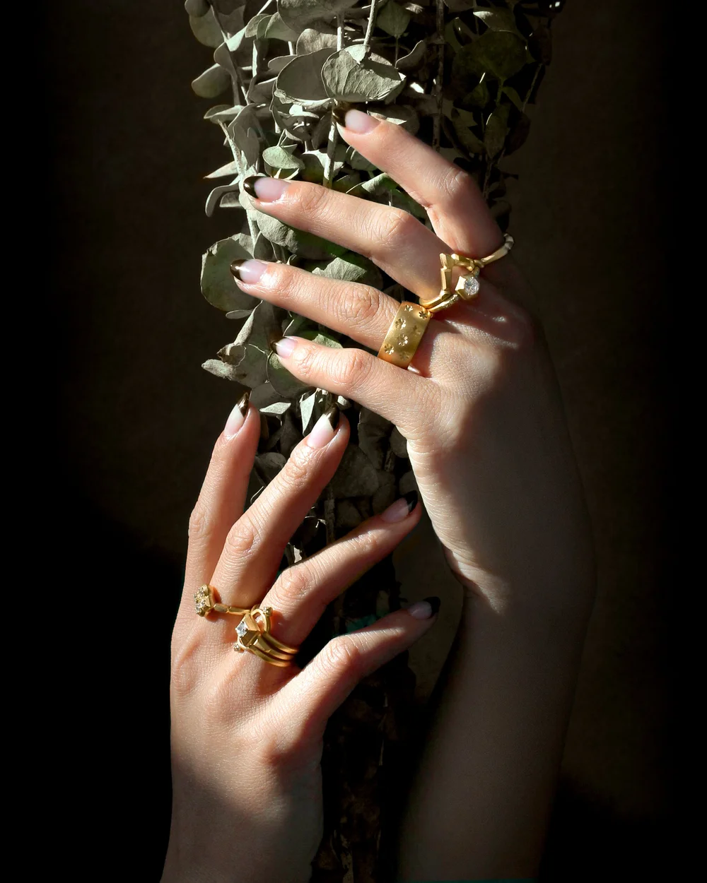About the Collection-Erica Bello