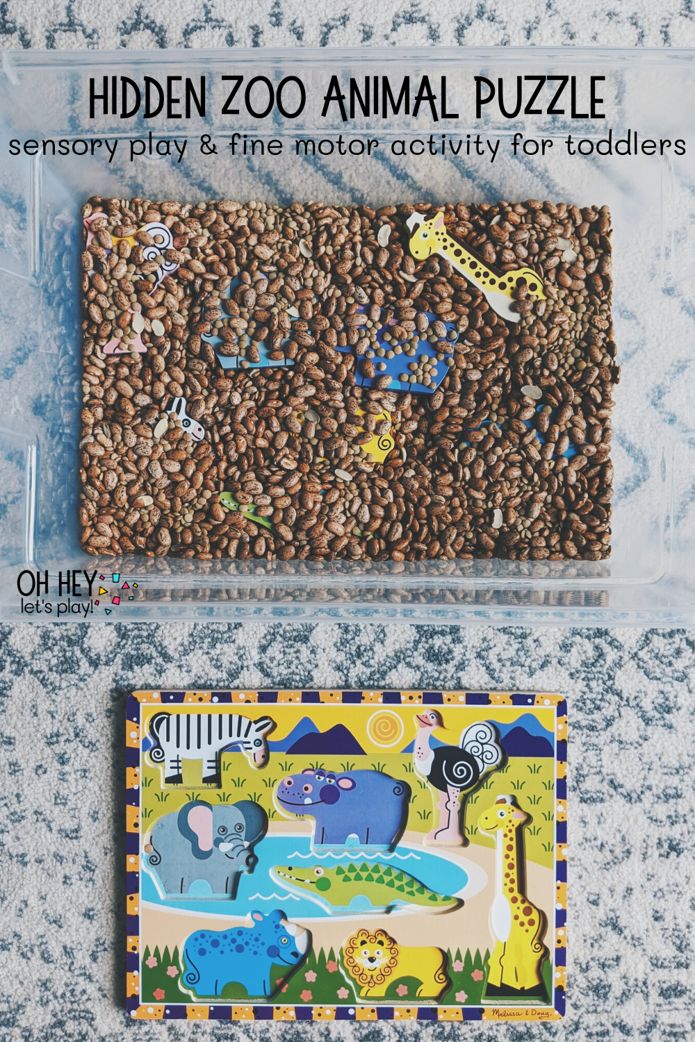 Zoo Activities for Toddlers and Preschoolers — Oh Hey Let's Play