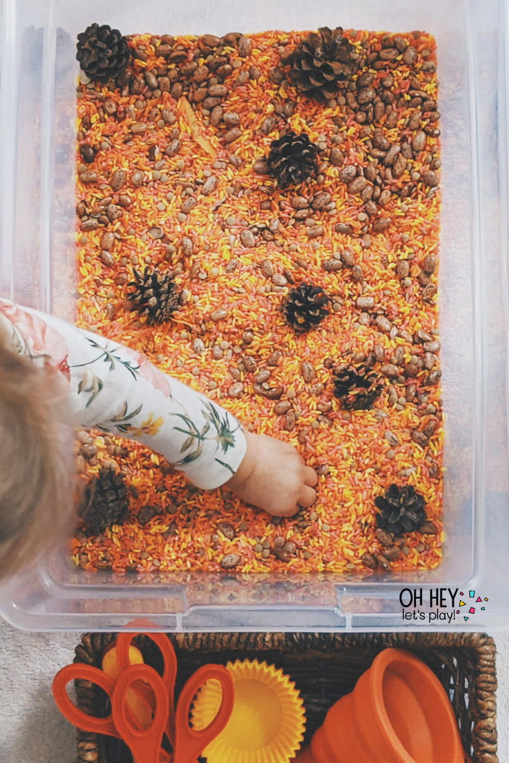 Fall Sensory Play for Toddlers and Preschoolers — Oh Hey Let's Play