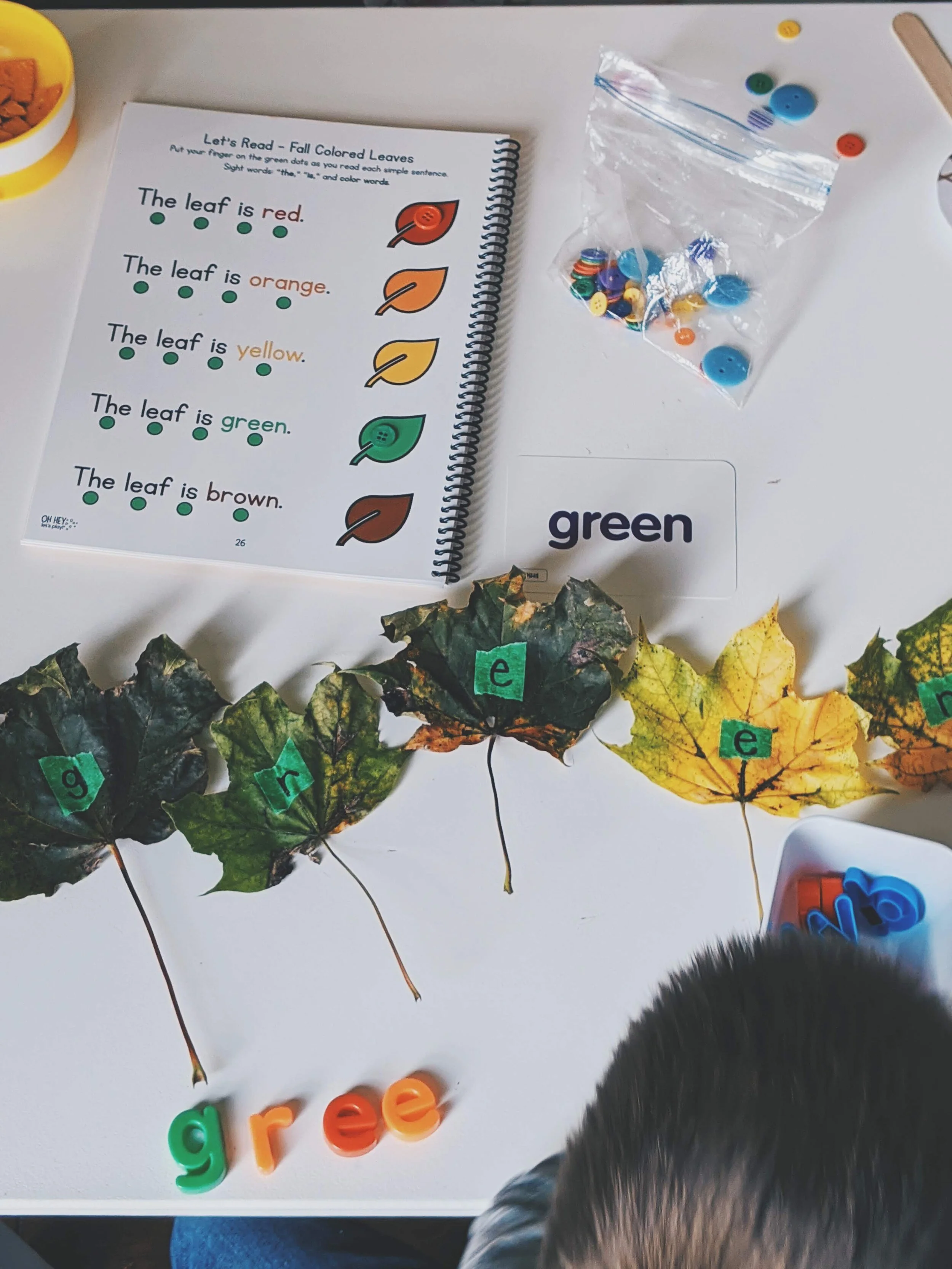 Learning Sight Words with Fall Leaves — Oh Hey Let's Play