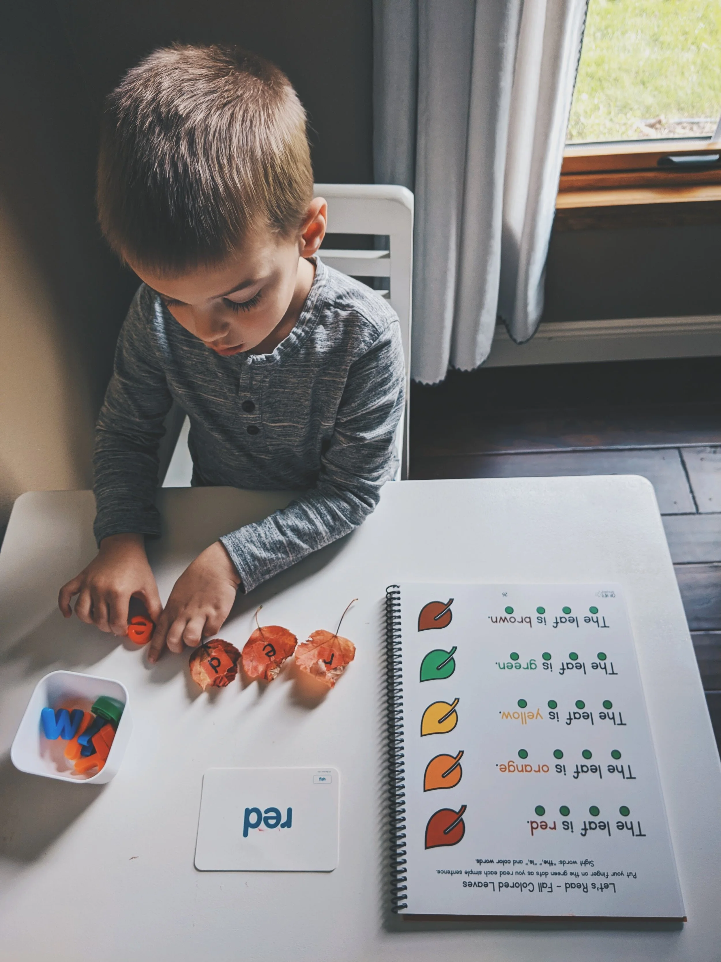 Learning Sight Words with Fall Leaves — Oh Hey Let's Play