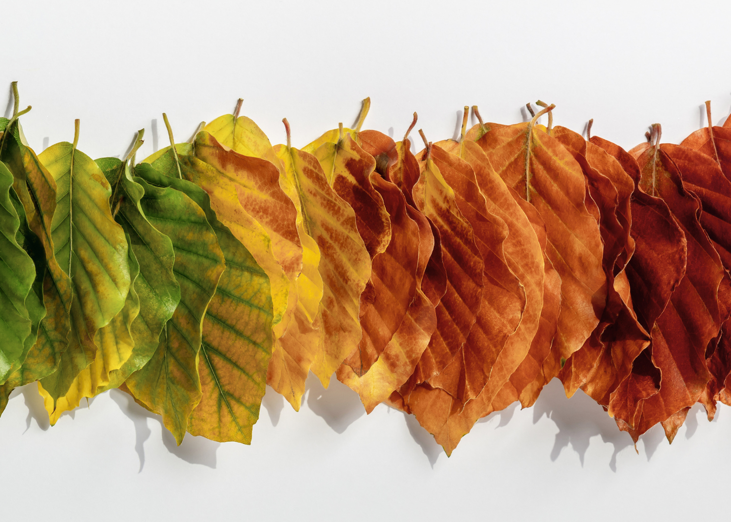 3 Reasons People Make Change — Livingston Consulting