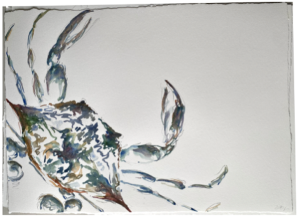 SHOP STUDIO WORK — Lucy Clare Spooner