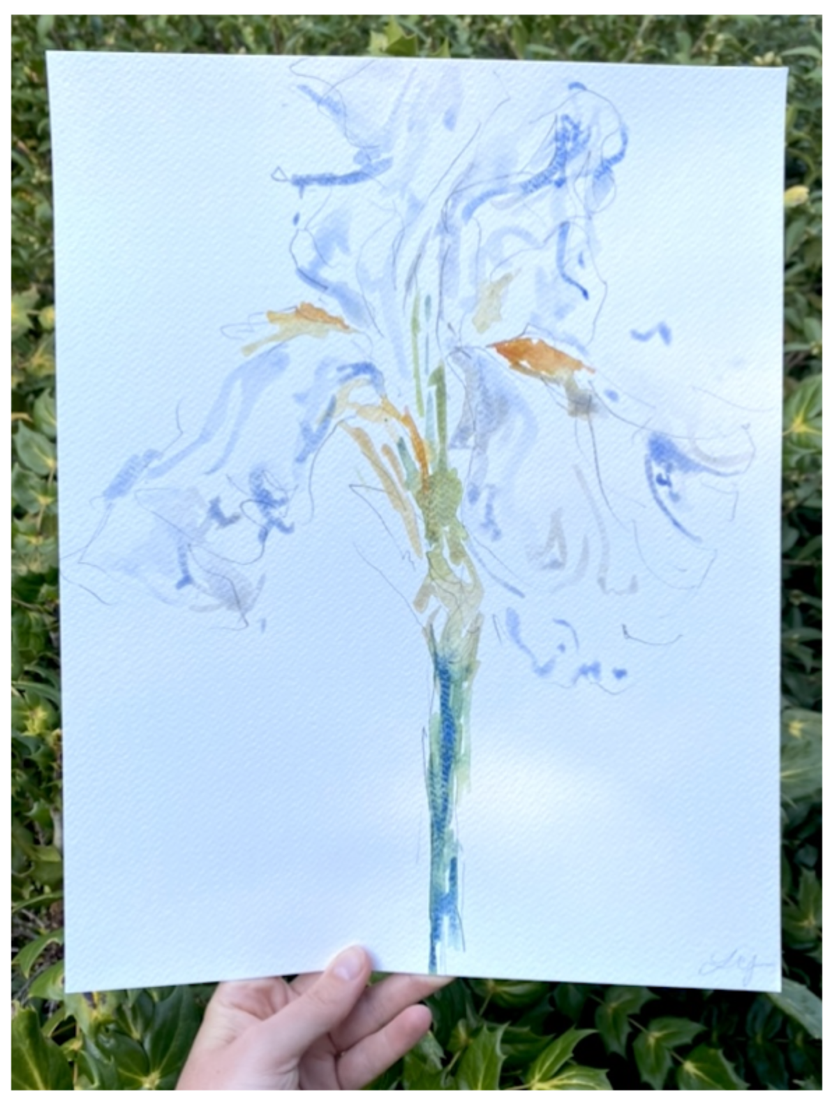 SHOP STUDIO WORK — Lucy Clare Spooner