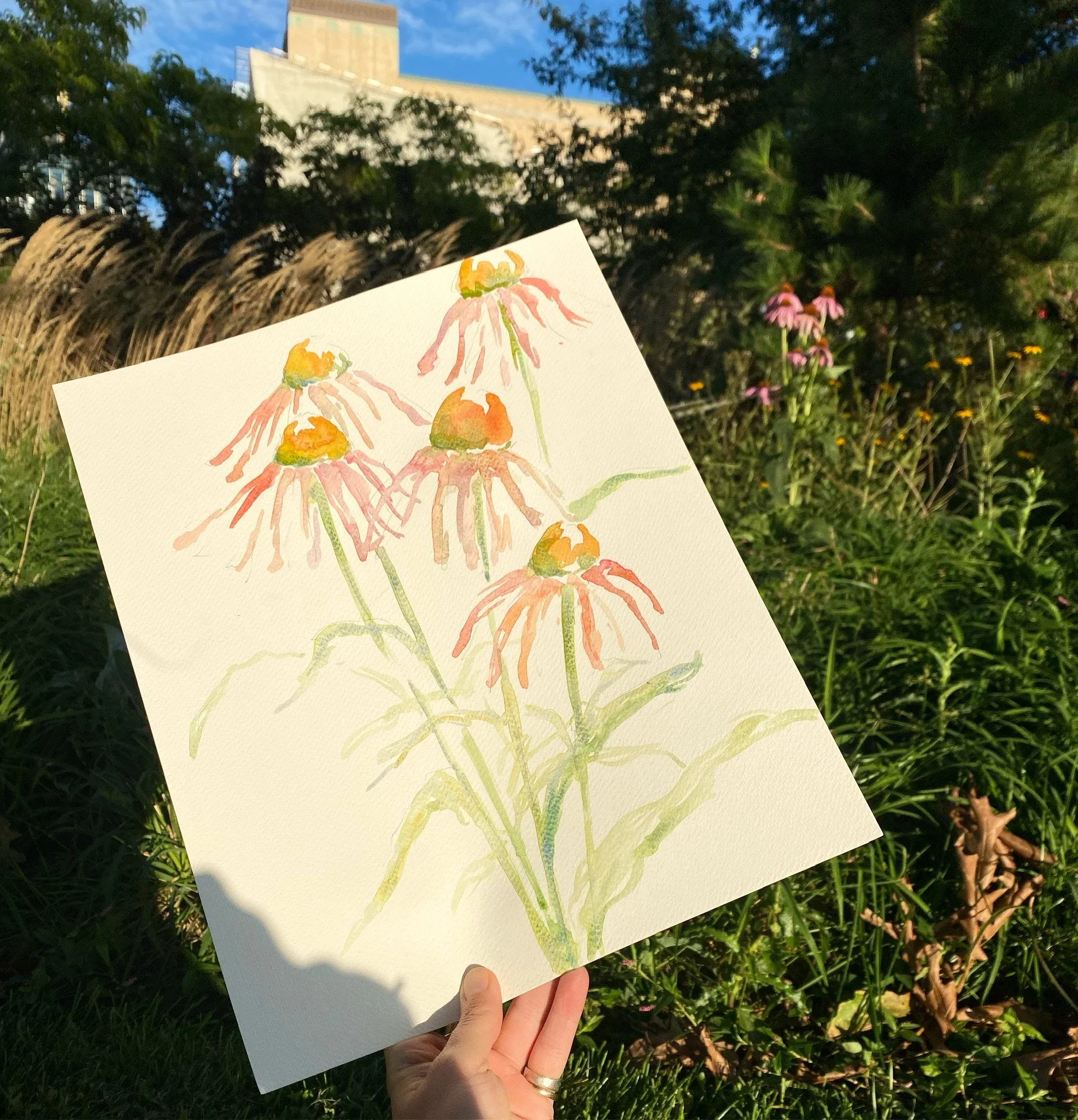 SHOP STUDIO WORK — Lucy Clare Spooner