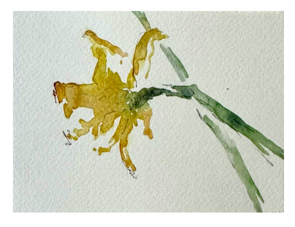 SHOP STUDIO WORK — Lucy Clare Spooner