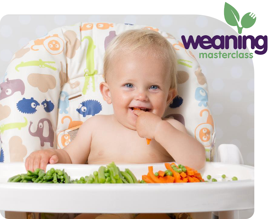 Online Weaning and Feeding Toddlers Classes — Weaning.ie