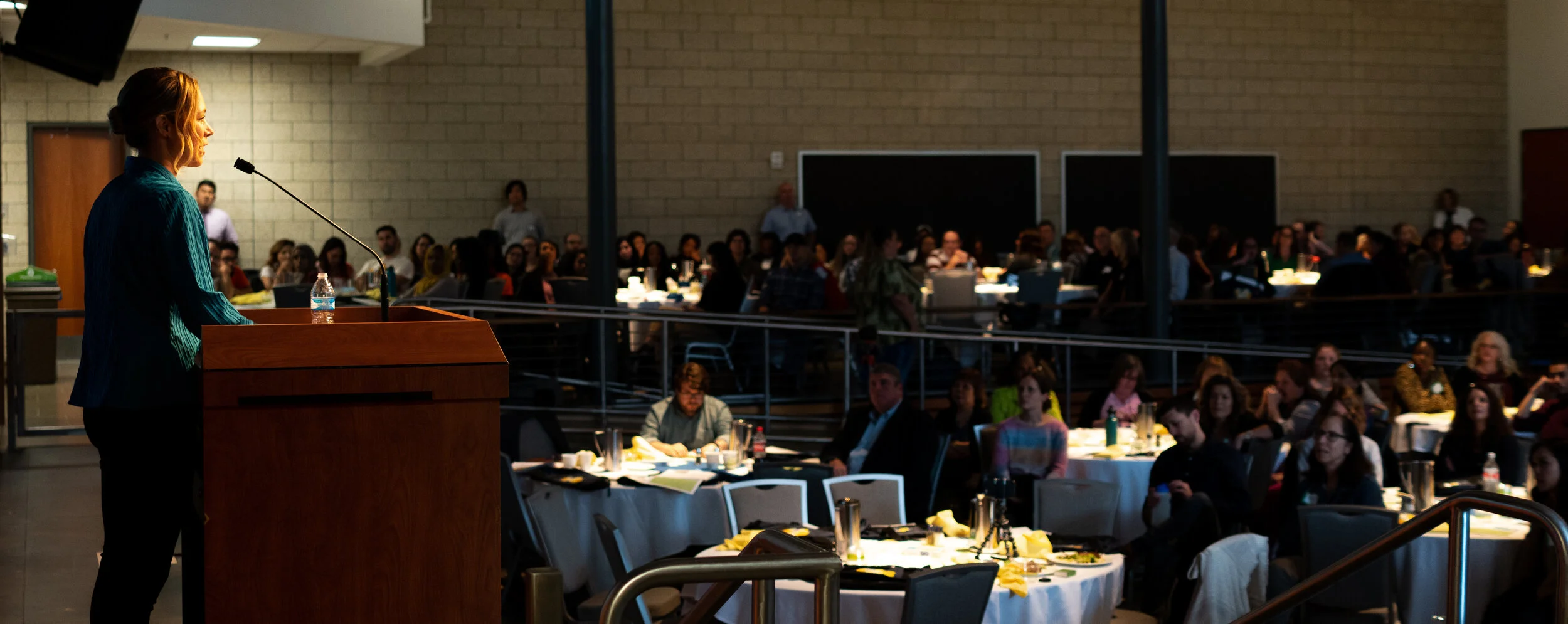 GREENLAND CONSULTING — SPEAKER