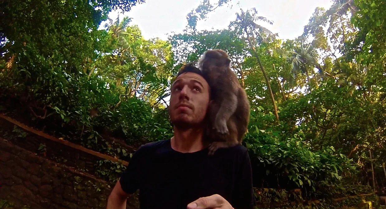 About Peter | Peter's Big Adventure